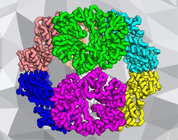 Protein architecture with atomic precision | Research | Chemistry World
