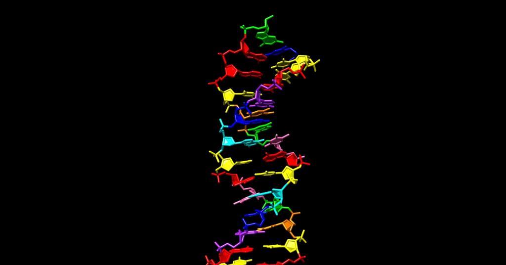 Eight-letter genetic code hints at how alien life might evolve ...