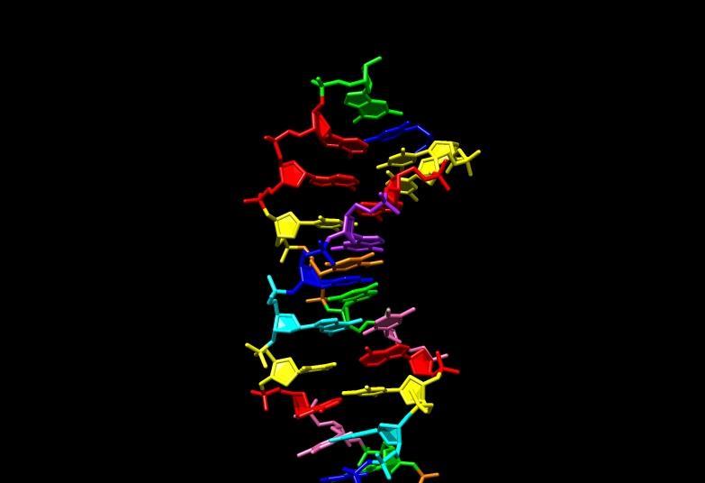 Eight-letter genetic code hints at how alien life might evolve ...