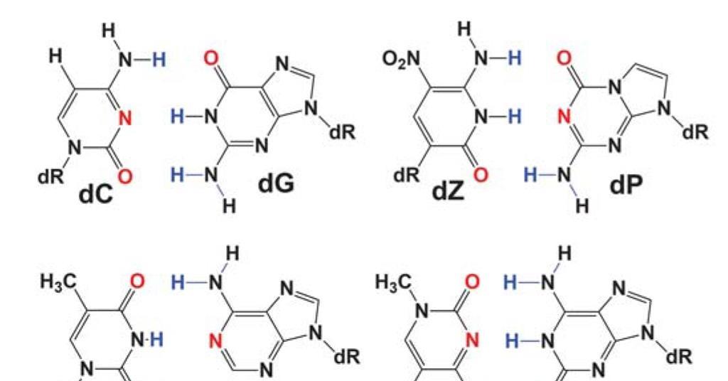 Eight-letter genetic code hints at how alien life might evolve ...