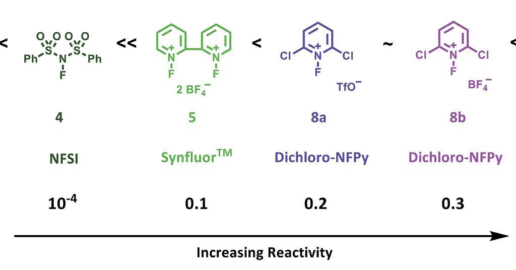 Scale ranks reactivity of fluorinating reagents | Research | Chemistry ...