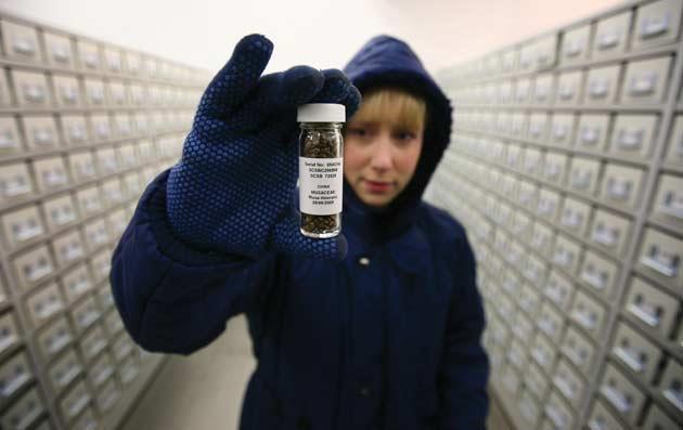 professor monique simmonds