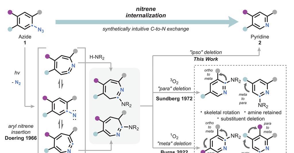 Skeletal editing that simply swaps aromatic carbons for nitrogens will ...