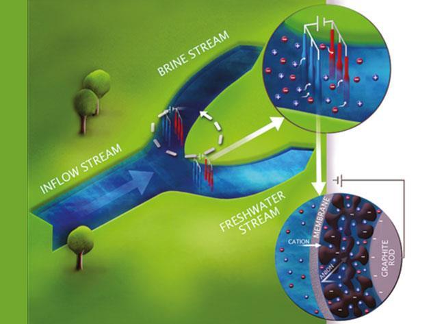 Electrode dip to freshen up saltwater | Research | Chemistry World