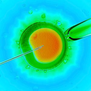 Use of Crispr on human embryos approved in UK | News | Chemistry World