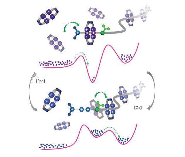 Molecular pump points way to non-equilibrium chemistry | Research ...