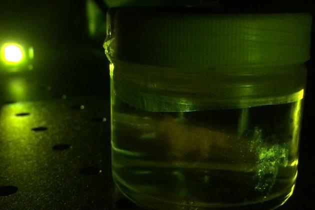 3D light structures brought to life by photochemistry | Research ...