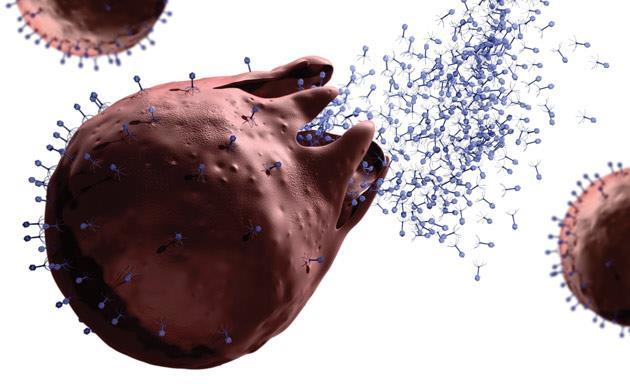 Age of the phage | Feature | Chemistry World