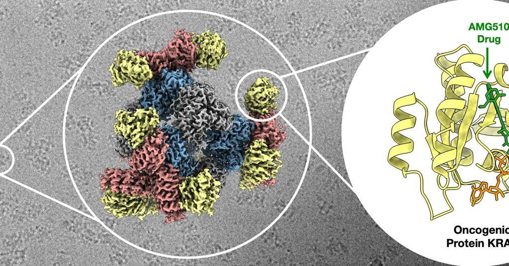 Protein Polymer Structure