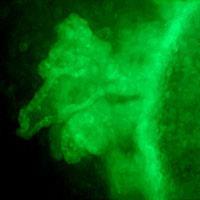 Structural snapshots of complex molecules | News | Chemistry World