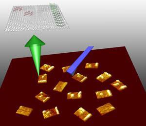 DNA nanoparticles detect gene expression | News | Chemistry World