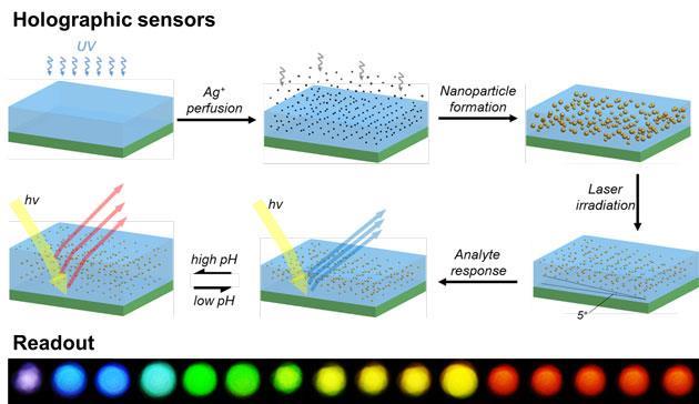 Cheap and colourful holographic sensors | Research | Chemistry World