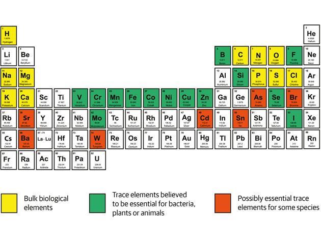 A chemical account of evolution | Feature | Chemistry World