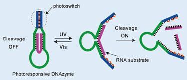 Nanomachinery lights up | News | Chemistry World