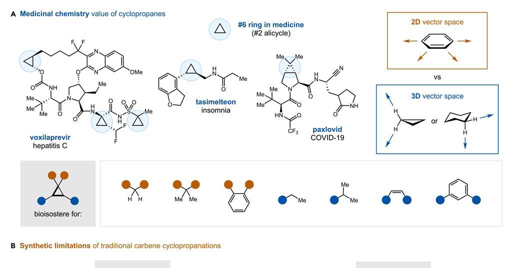 Iron salts catalyse the creation of carbenes for cyclopropanation ...