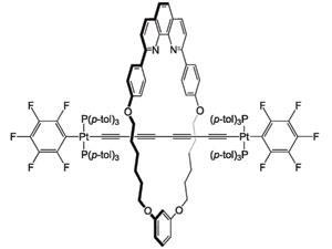 Running rings around molecular wires | Research | Chemistry World
