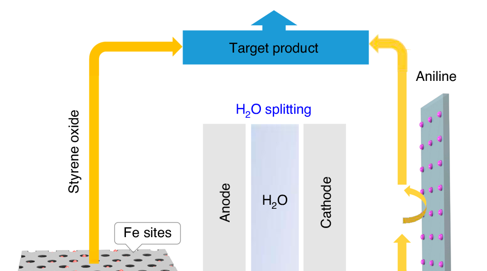 Single atom catalysts double up to link oxidation and reduction ...