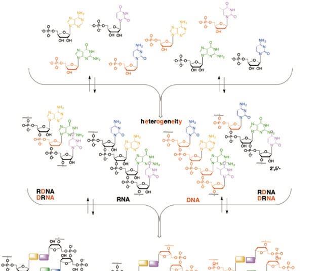Nucleic acid instability challenges RNA world hypothesis | Research ...