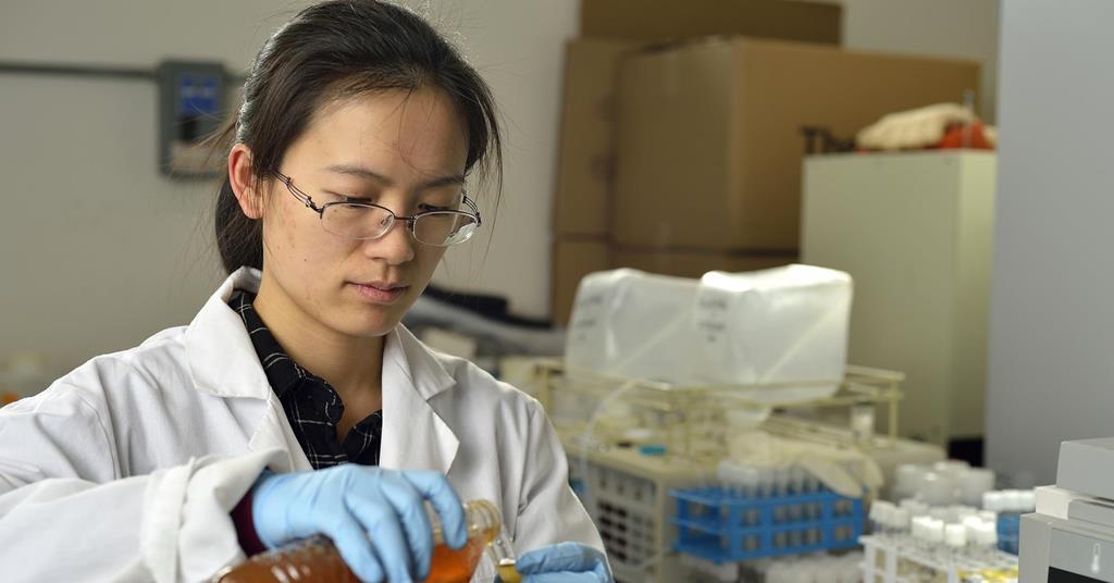 US water crisis | Feature | Chemistry World