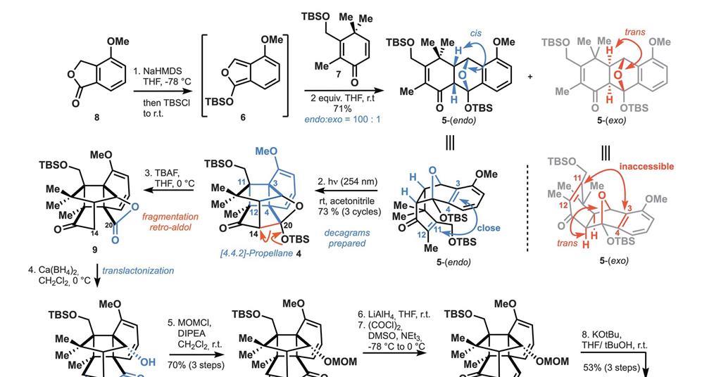Chemists complete synthesis of molecule ‘at the limits of complexity ...