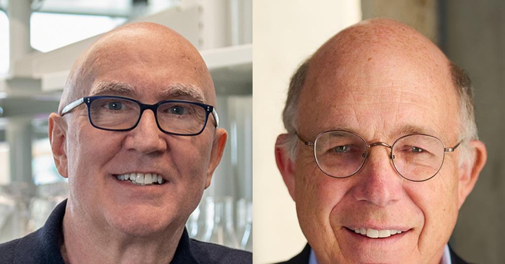 Explainer: the Welch Award in Chemistry | Research | Chemistry World