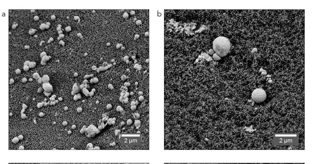 Liquid metal catalyst shows promise in industrial reaction | Research ...