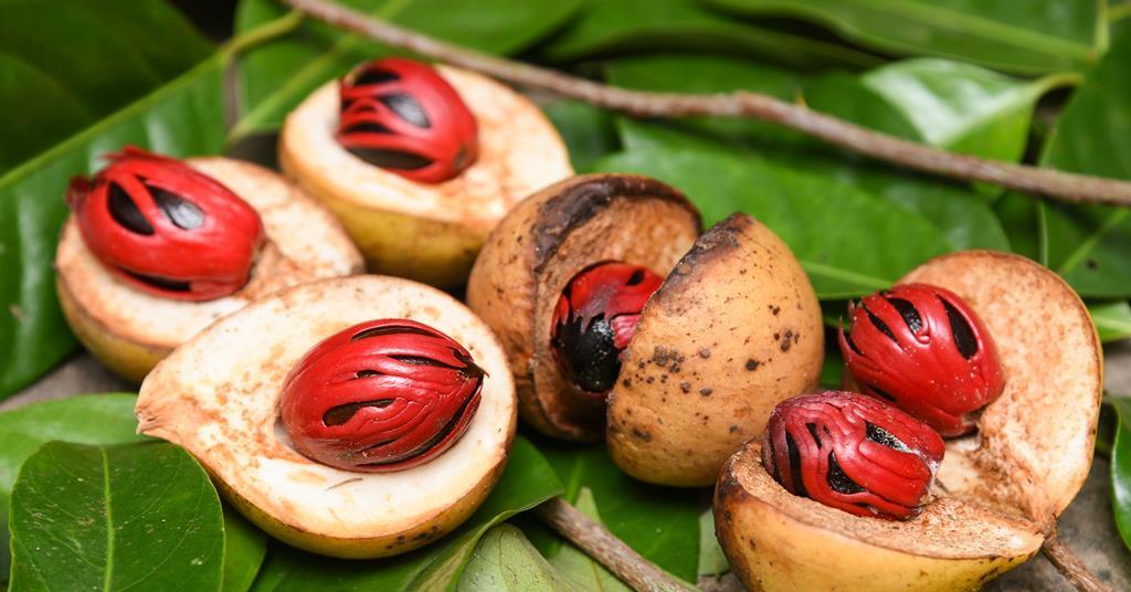 Myristicin | Podcast | Chemistry World