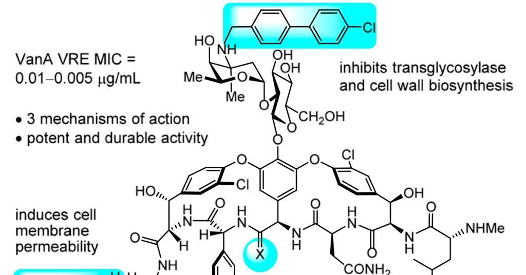 Modified antibiotic beats superbug resistance | Research | Chemistry World
