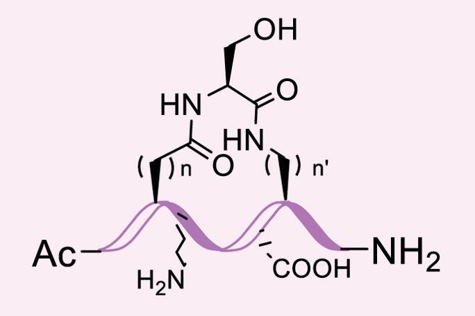 Peptide ligation strategy unlocks diverse range of structural motifs ...