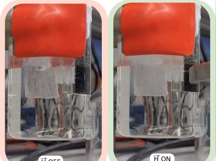 Magnets that double efficiency of water splitting could help usher in a ...