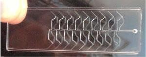 Lab-on-a-chip rises to cola challenge | Research | Chemistry World