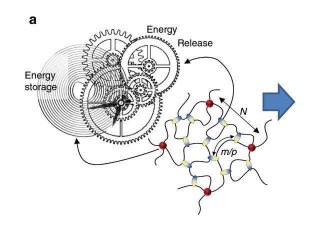 Shape-shifting material flowers without a trigger | Research ...