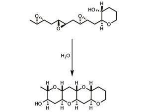 Stepping toward ideality | Feature | Chemistry World