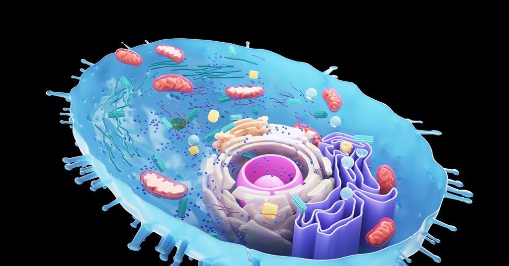 Radical route produces non-natural polymers inside cells | Research ...
