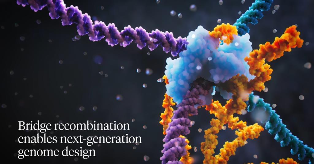 New gene-editing tool found in bacterium could carry out extensive ...