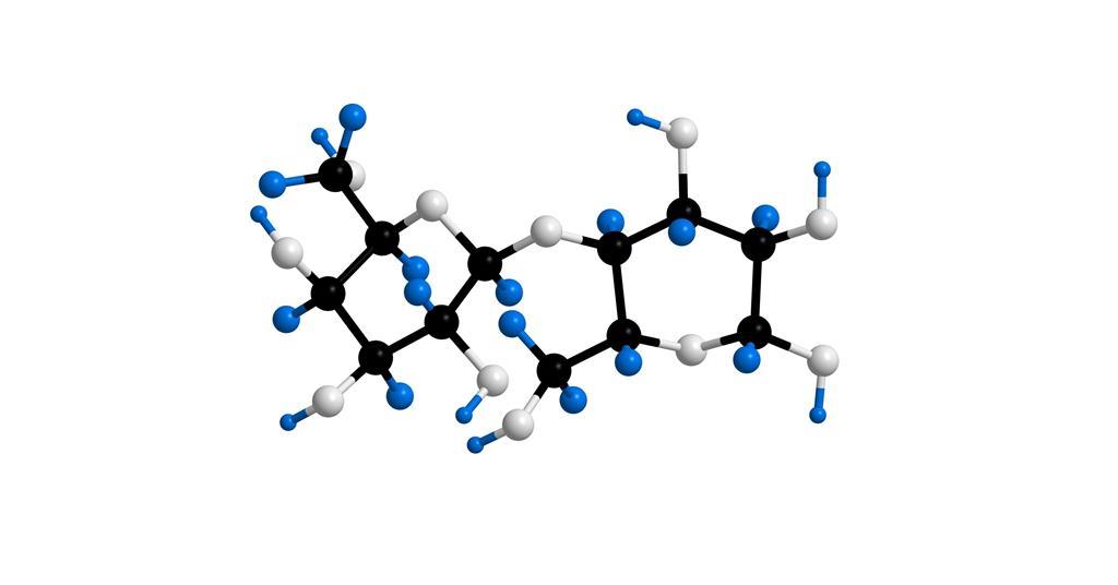 Lactase Enzyme Structure