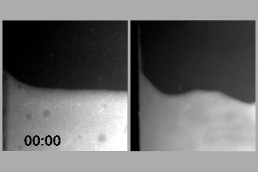 Active liquid climbs walls | Research | Chemistry World