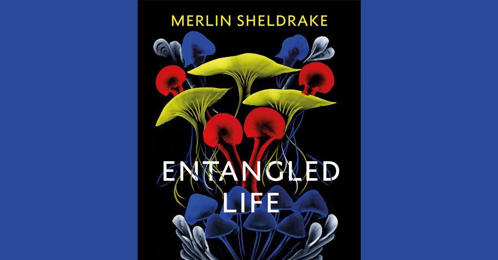 Entangled Life: How Fungi Make Our Worlds, Change Our Minds and Shape ...