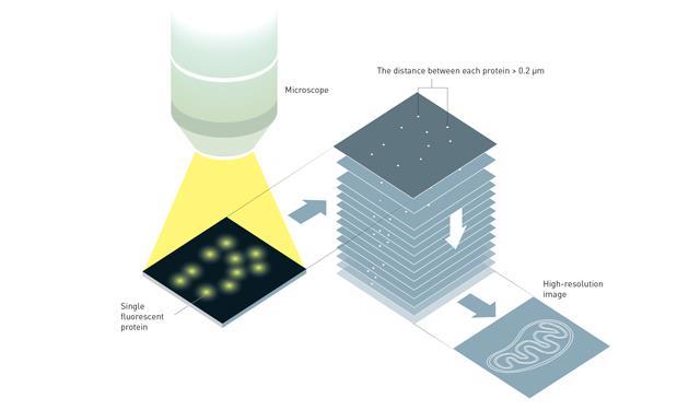 Super-resolution light microscopy wins chemistry Nobel | News ...