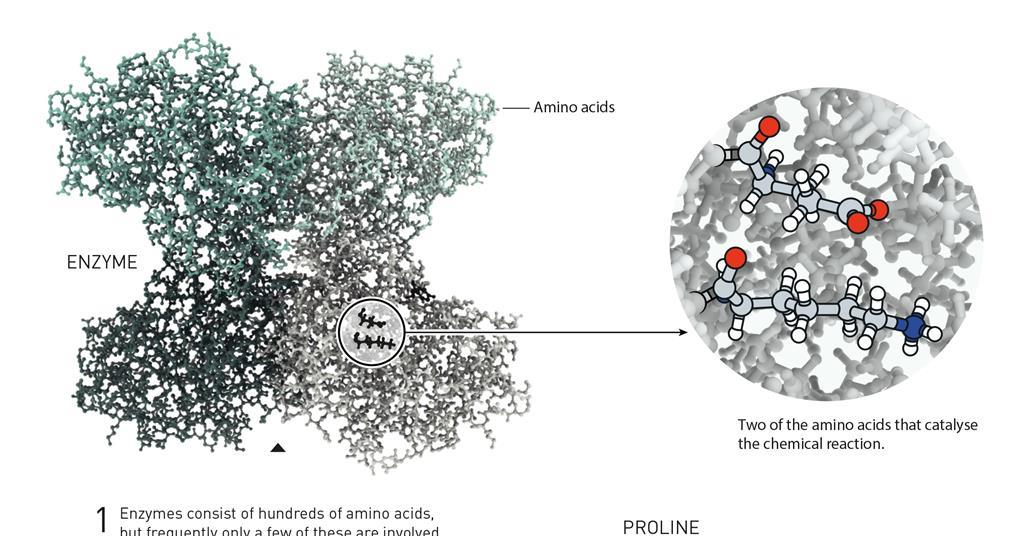 Explainer: why has asymmetric organocatalysis won the chemistry Nobel ...