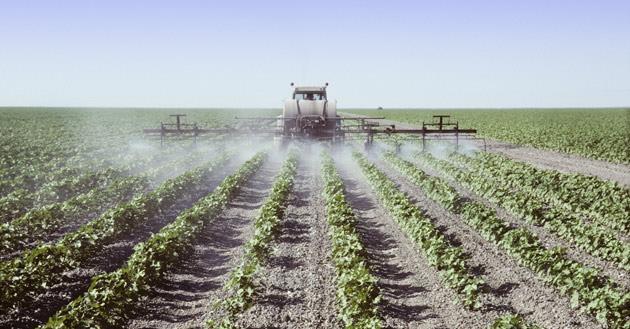 Glyphosate persistence raises questions | Business | Chemistry World