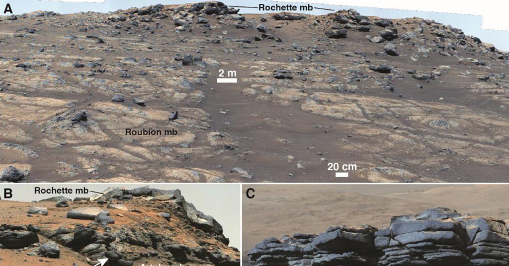 Rocks From Mars