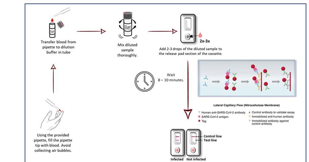 Diagnostic strategies for early and point-of-care detection of COVID-19 ...