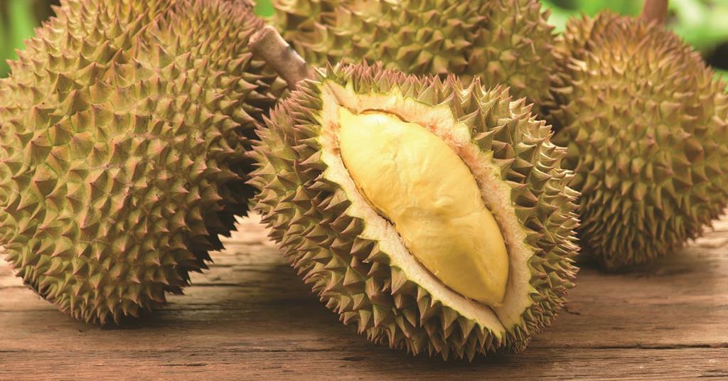 Compounds responsible for world’s stinkiest fruit revealed | Research ...