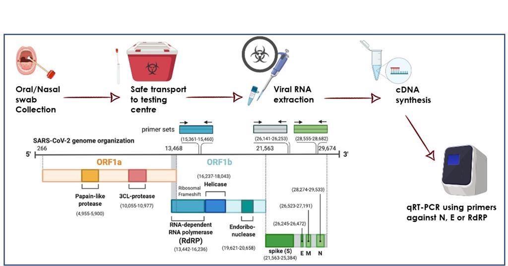 Diagnostic strategies for early and point-of-care detection of COVID-19 ...