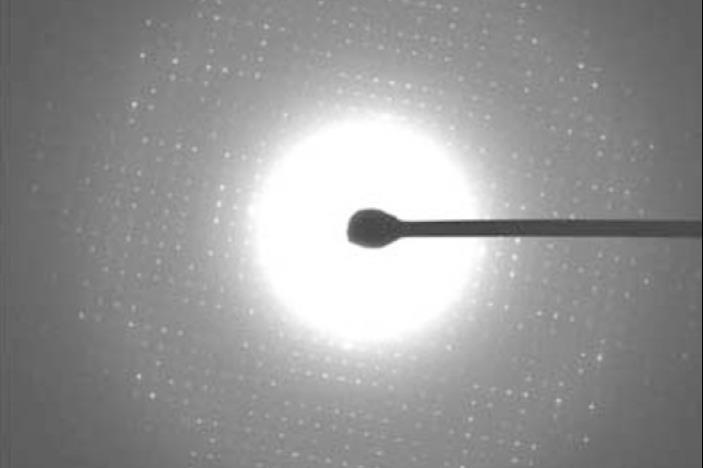 Microcrystal electron diffraction promises a revolution in study of ...