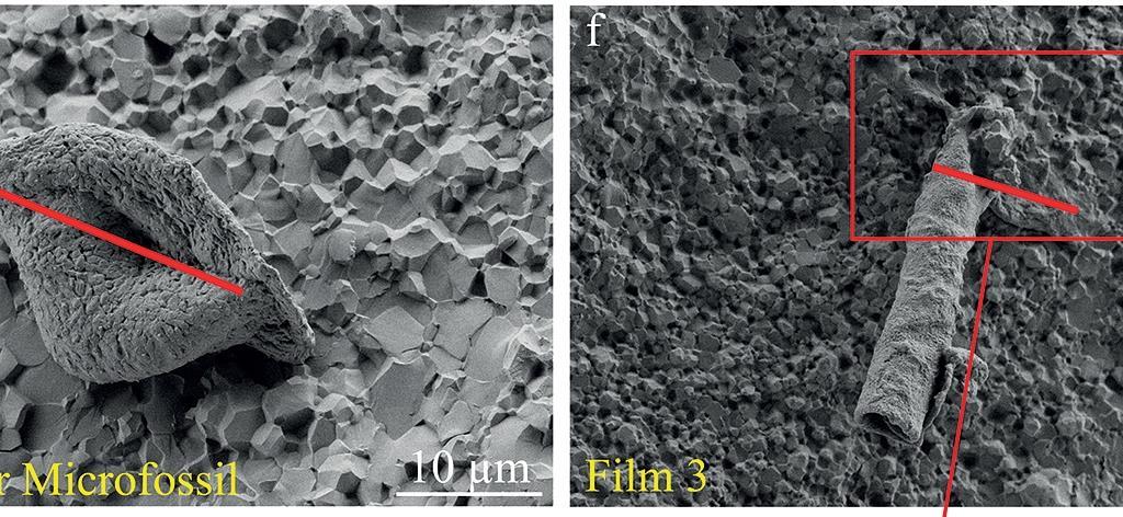 Chemical analysis adds to evidence for early microfossils | Research ...