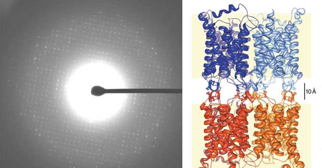 Microcrystal electron diffraction promises a revolution in study of ...