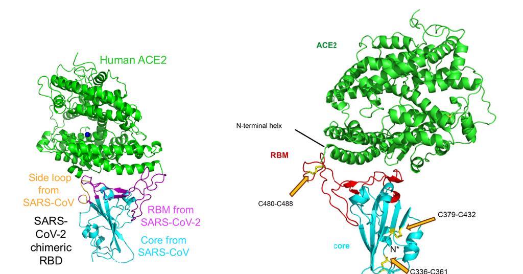Science steps up a gear as struggle to both understand and fight ...