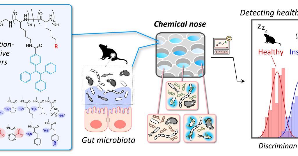Gut microbiome analysis spots sleep-deprived mice | Research ...